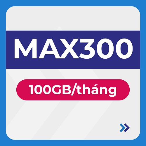 MAX300